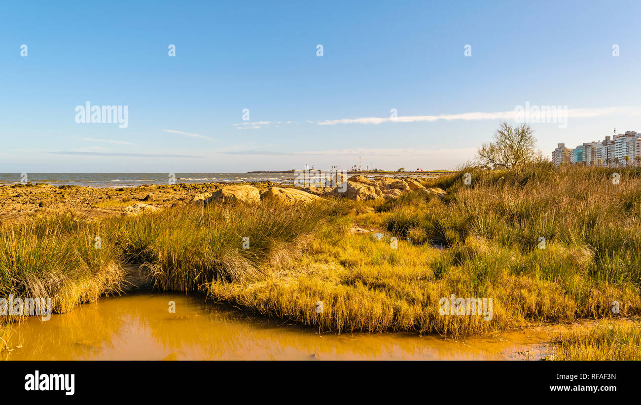Landscape coastal scene at spring time in montevideo city, the capital ...