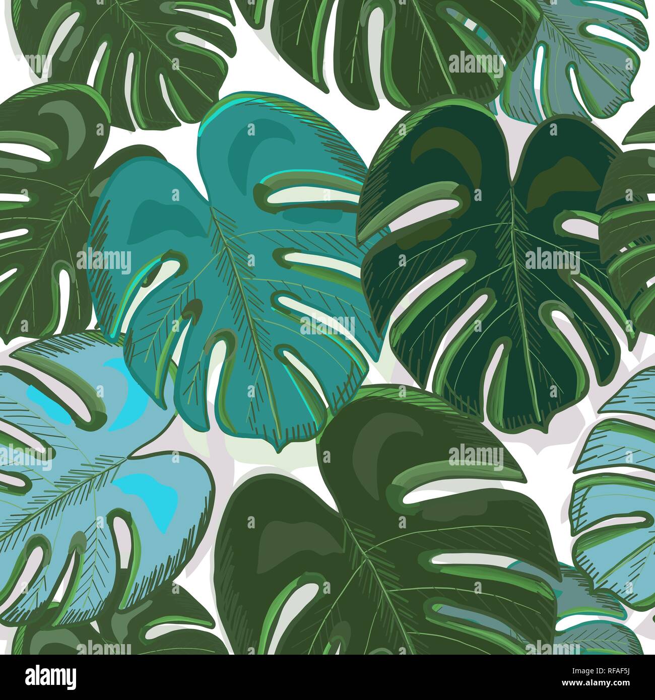Monstera Stock Vector Images - Alamy