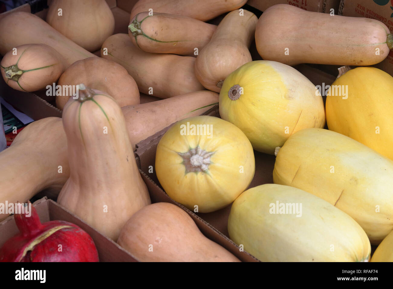 Harvest Winter Squash High Resolution Stock Photography and Images - Alamy