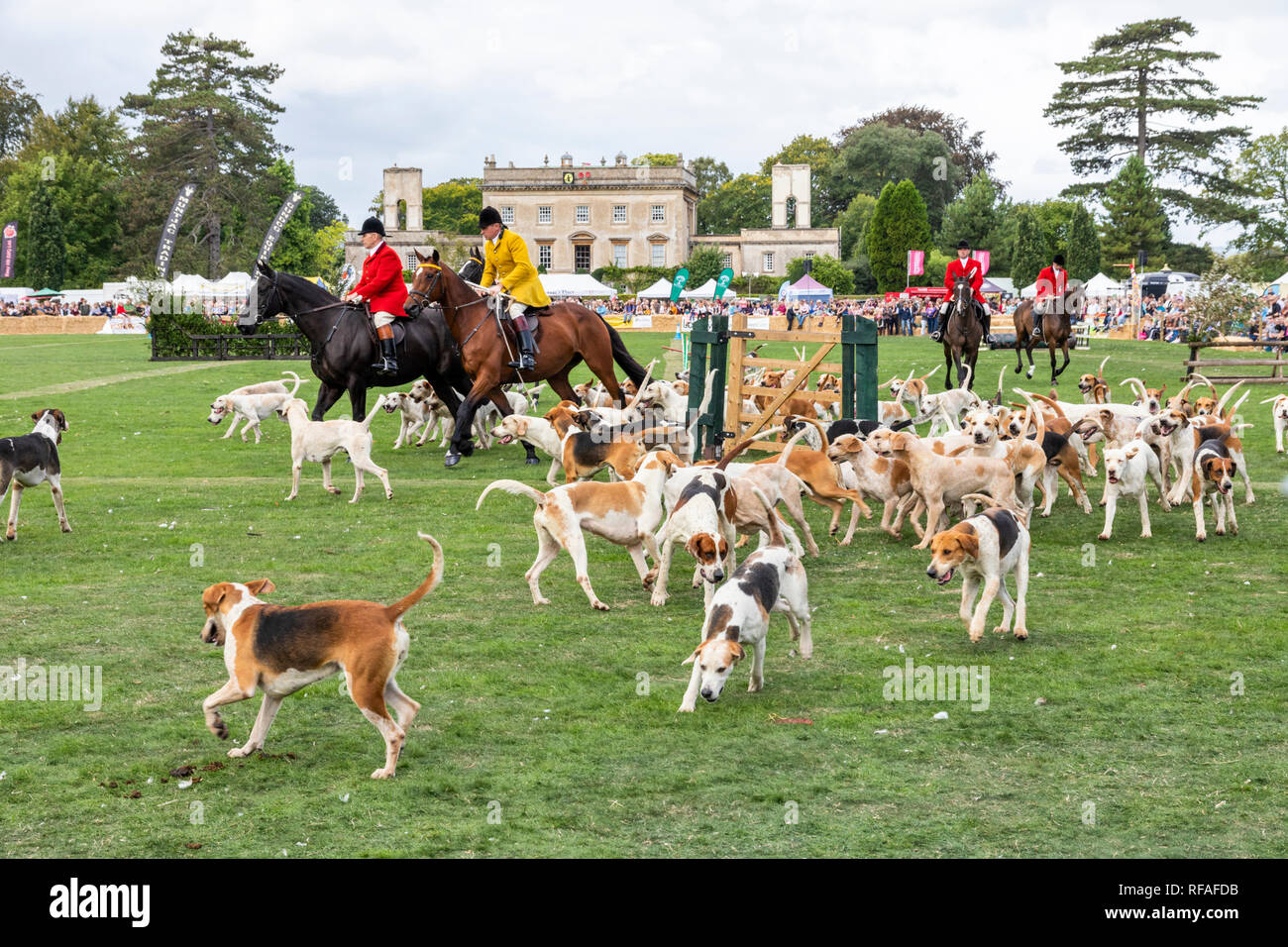 A parade of the hounds at the Frampton Country Fair 2018 held at ...