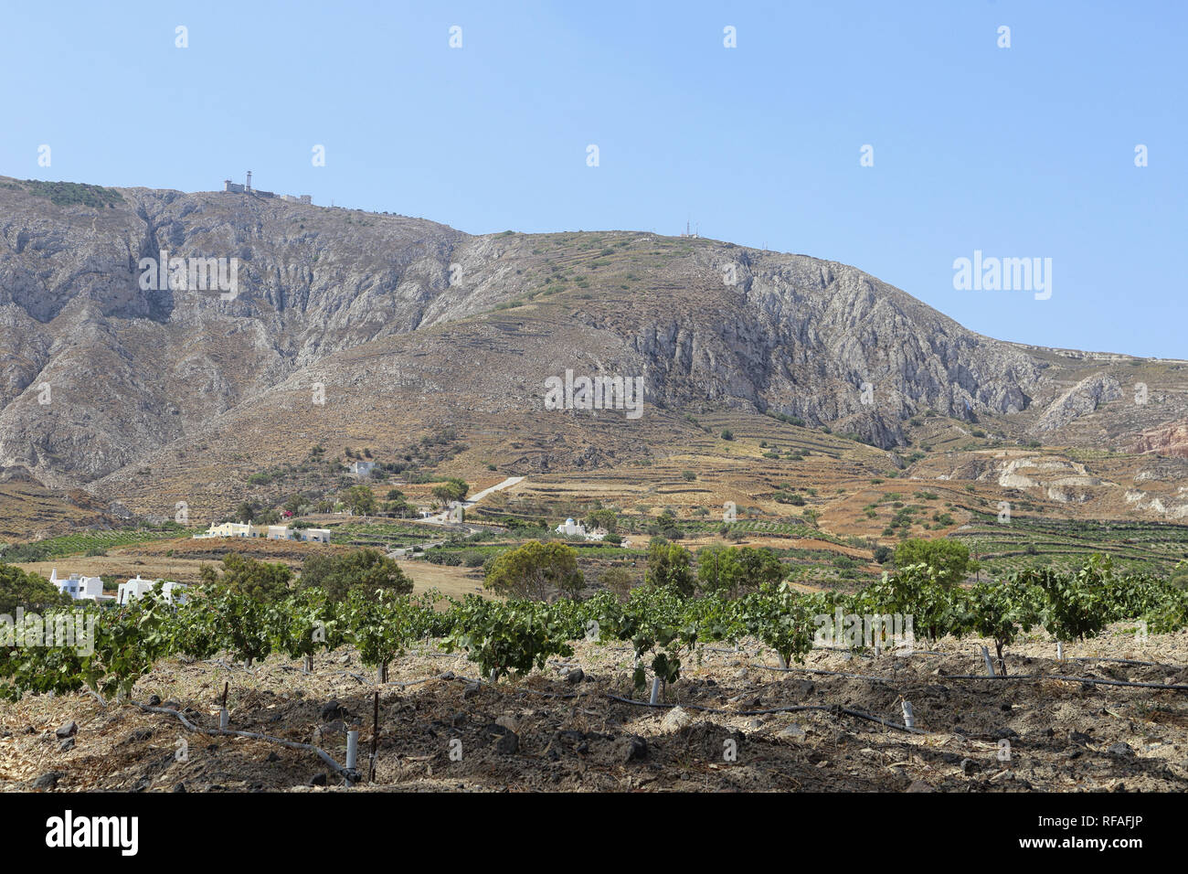 Santorini grapes hi-res stock photography and images - Alamy
