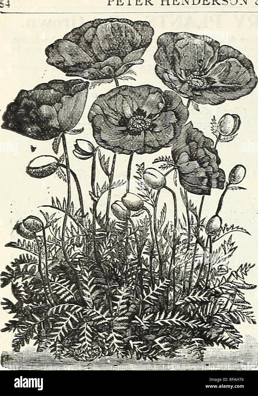 . Catalogue of bulbs, plants and seeds for autumn planting. : 1895 ...