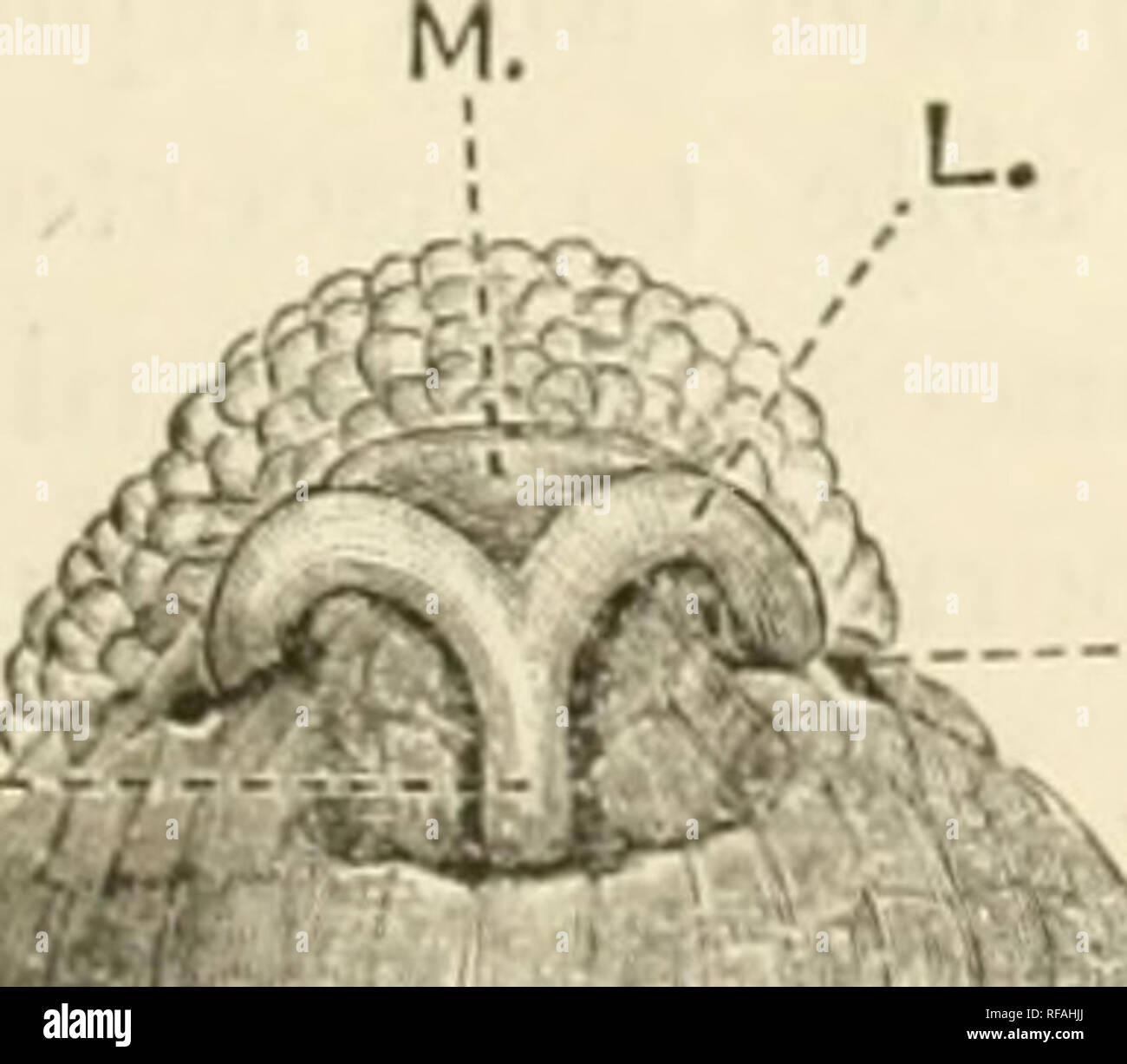 Uschuaia hi-res stock photography and images - Alamy