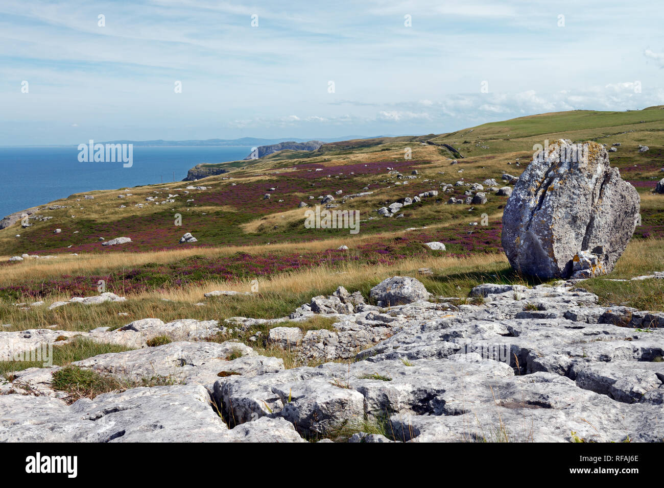 Great orme limestone headland hi-res stock photography and images - Alamy