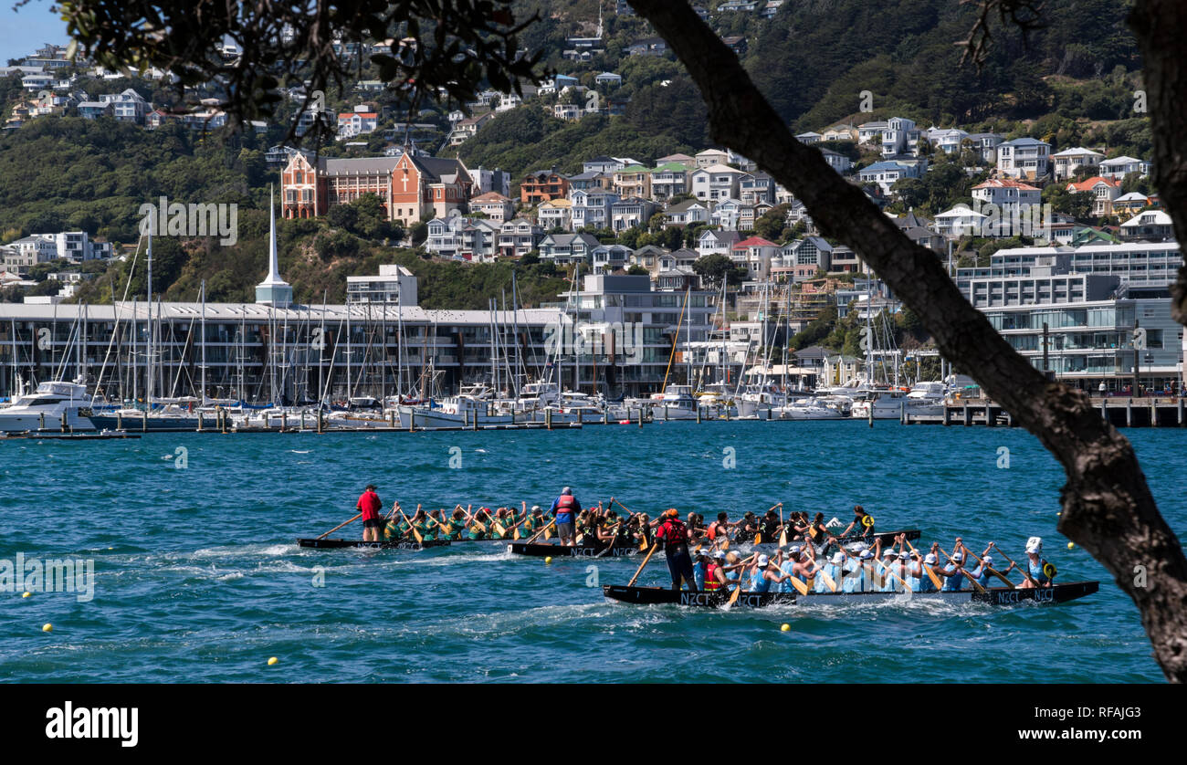 Wellington skyline waterfront new zealand hi-res stock photography and ...