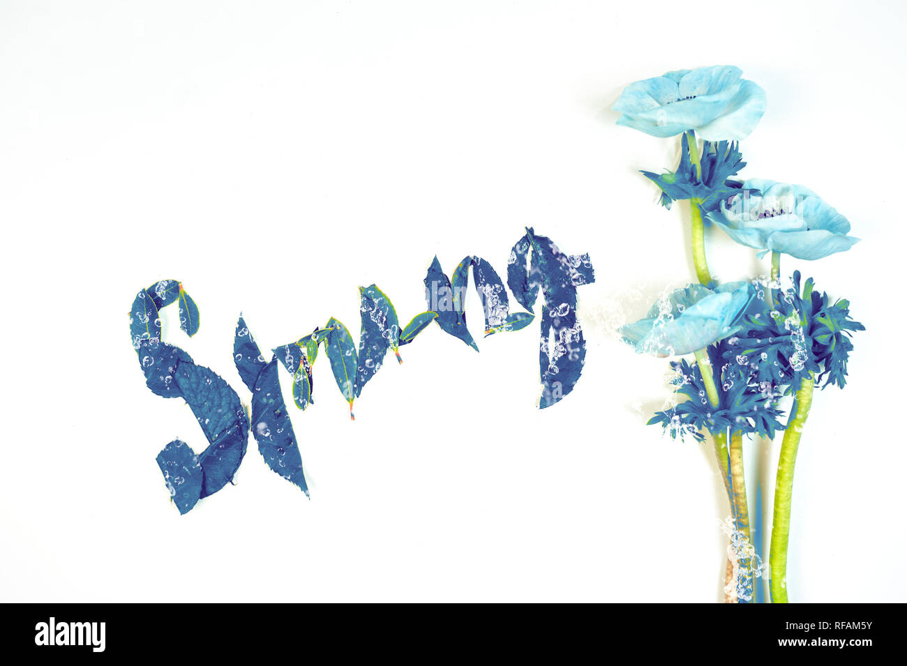 Spring drop Cut Out Stock Images & Pictures - Alamy