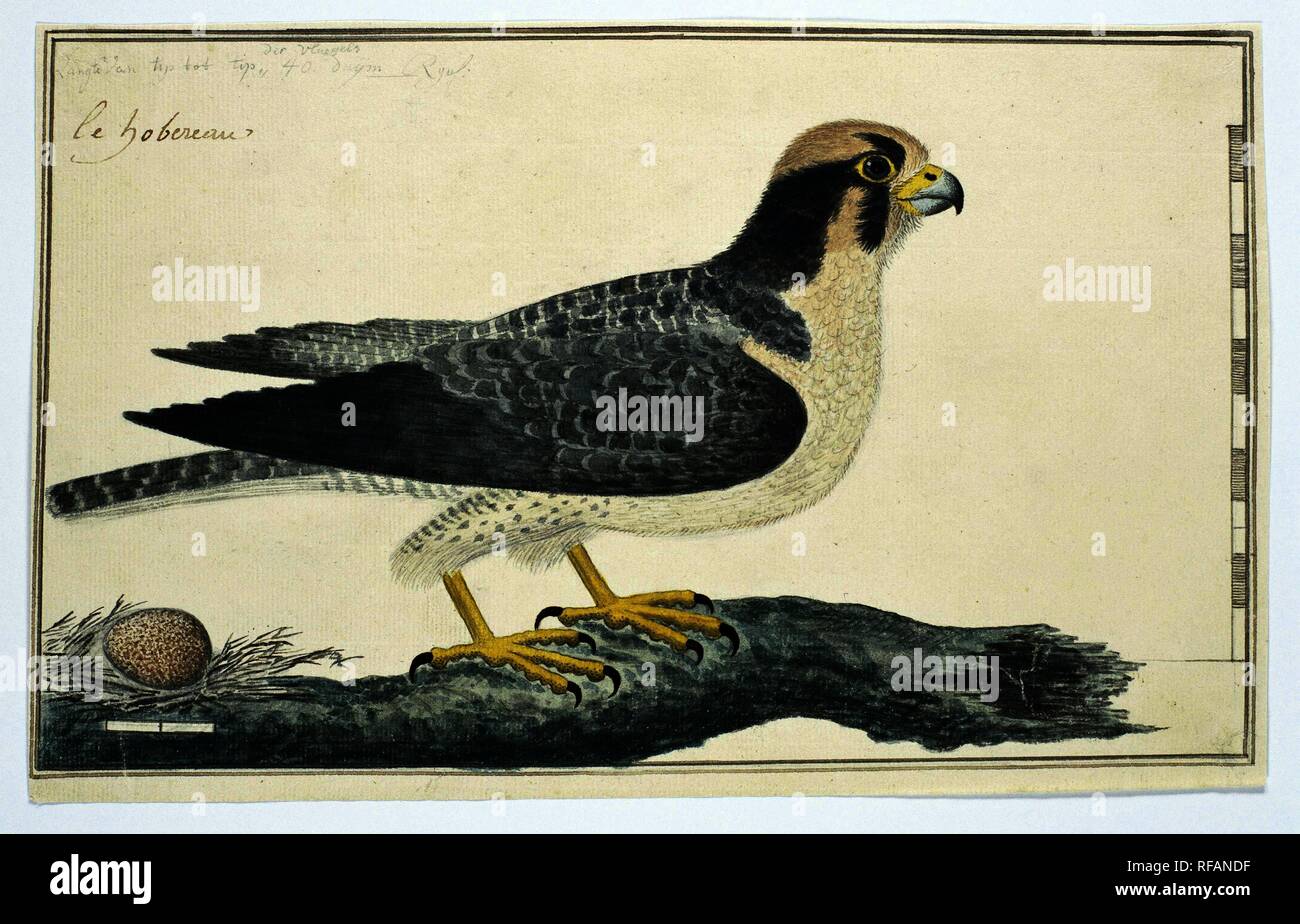 Robert falco hi-res stock photography and images - Alamy