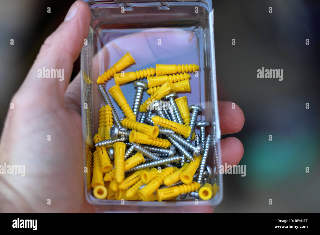 Hand holding box of screws and plastic anchors Stock Photo - Alamy
