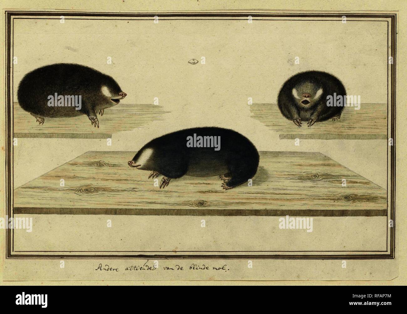 1 Sep 1777 High Resolution Stock Photography and Images - Alamy