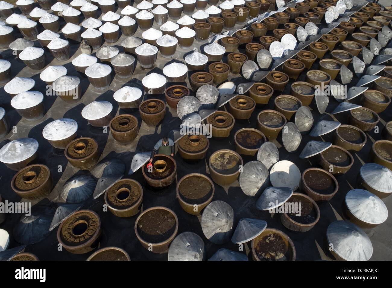 2019 443 jpg hi-res stock photography and images - Alamy