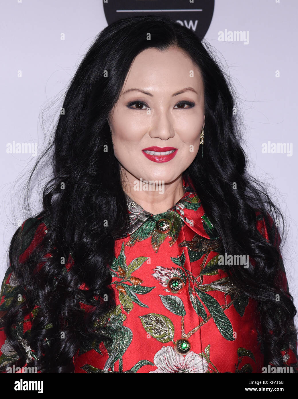 Los Angeles, California, USA. 23rd Jan, 2019. JUDY CHENG attends the ...