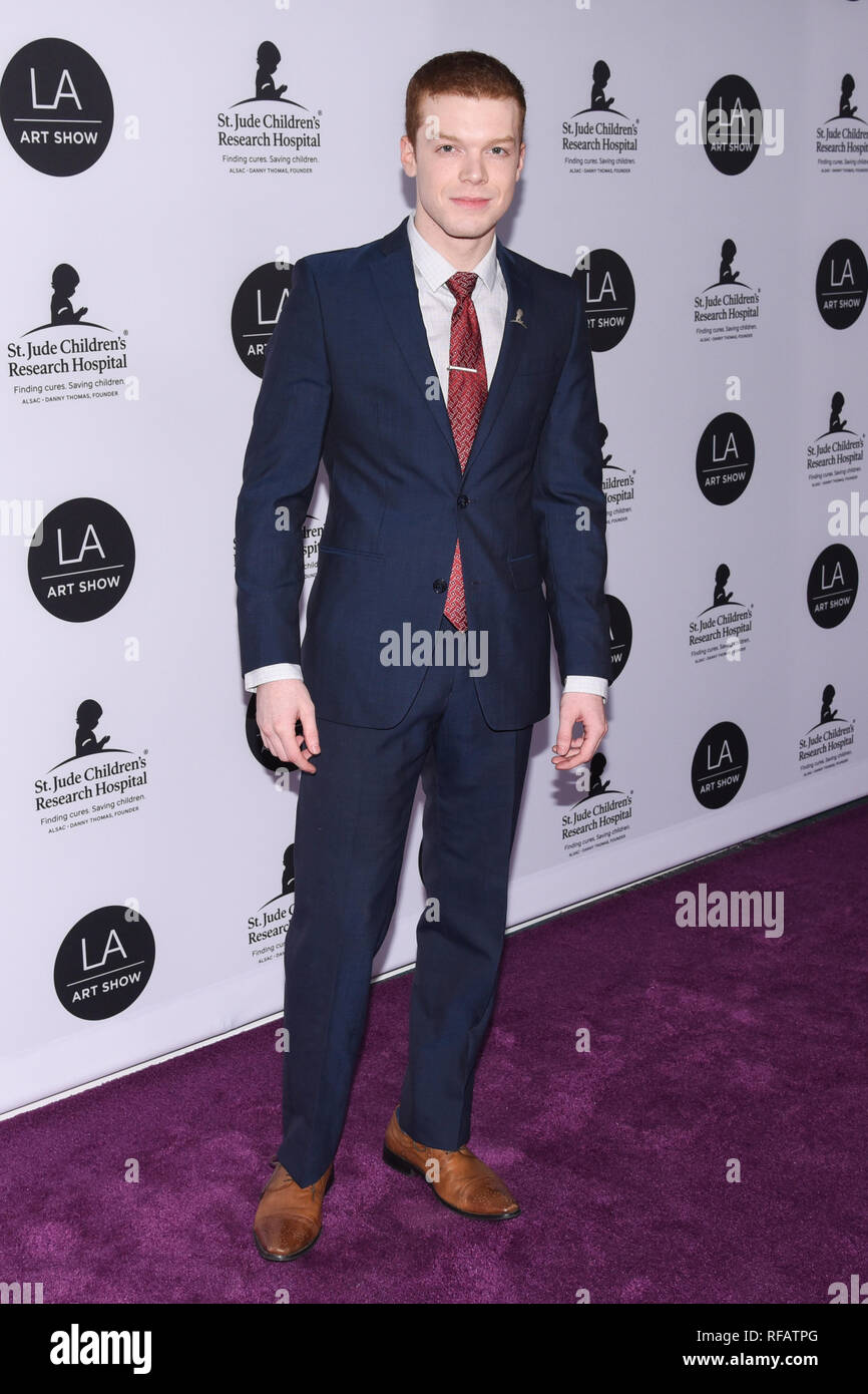 Los Angeles, California, USA. 23rd Jan, 2019. CAMERON MONAGHAN attends ...