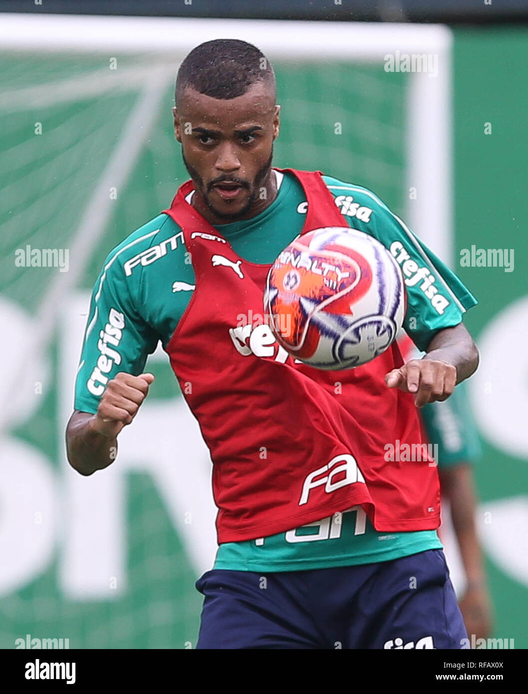 SÃO PAULO, SP - 24.01.2019: TREINO DO PALMEIRAS - The player Felipe ...