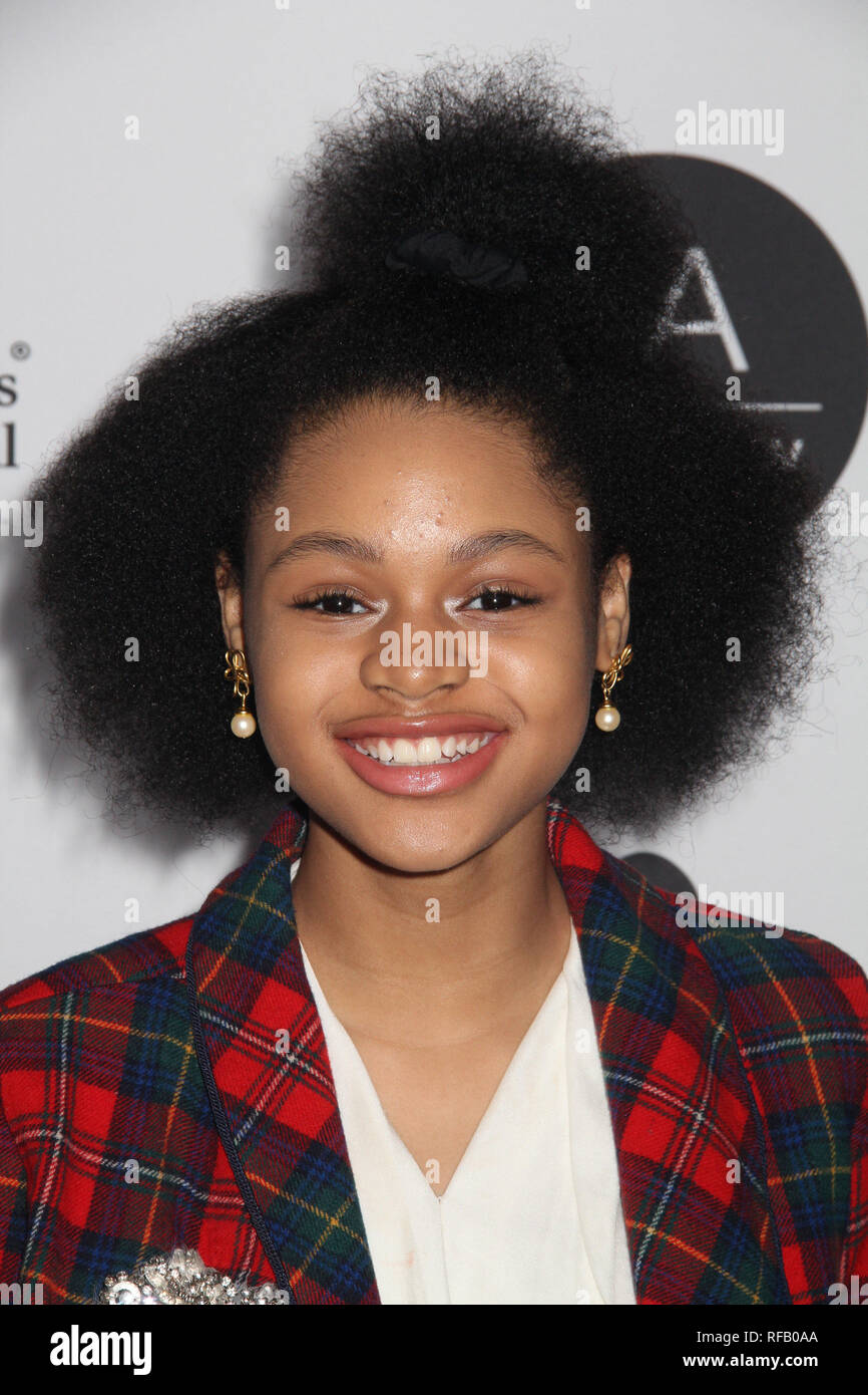 Briana Roy 01/23/2019 The LA Art Show 2019 held at the Los Angeles ...