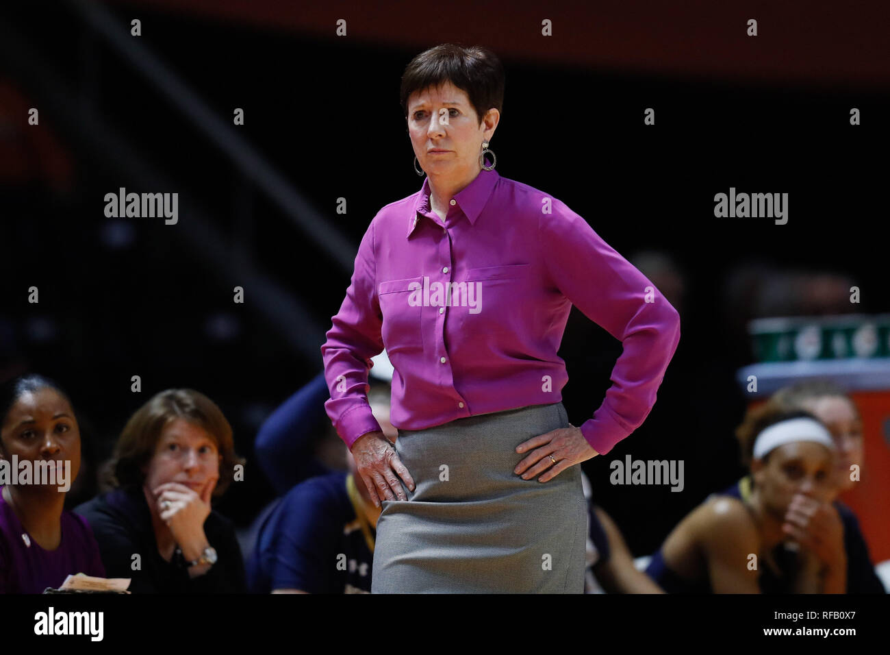 Muffet mcgraw hi-res stock photography and images - Alamy