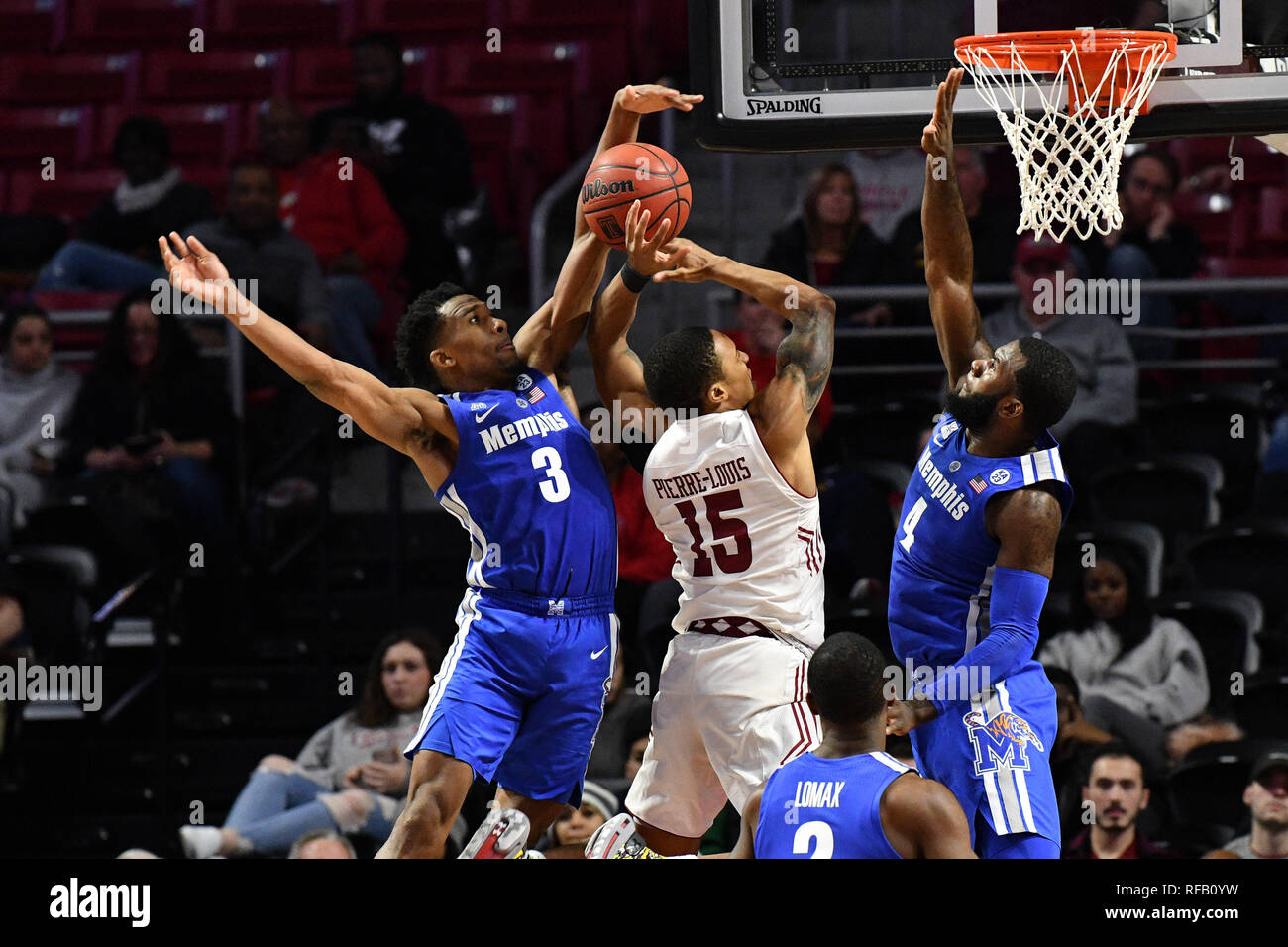Tigers guards hi-res stock photography and images - Alamy