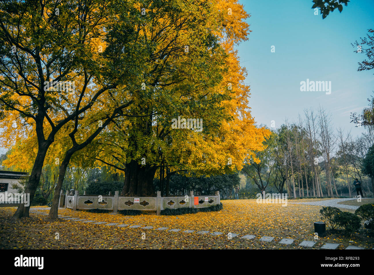 Jiading district hi-res stock photography and images - Alamy