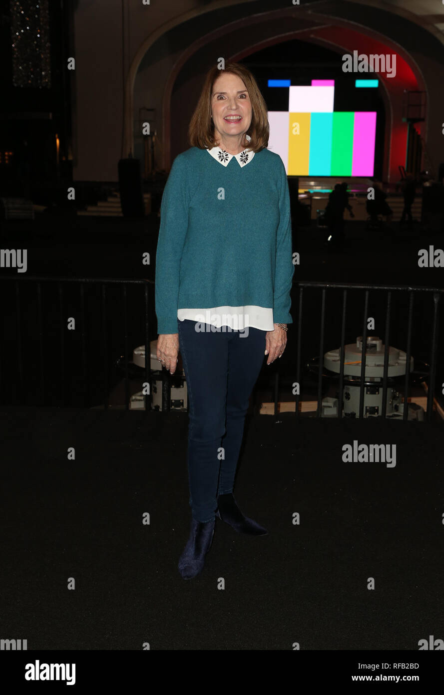 Los Angeles, Ca, USA. 24th Jan, 2019. Kathy Connell, attends Cocktails ...