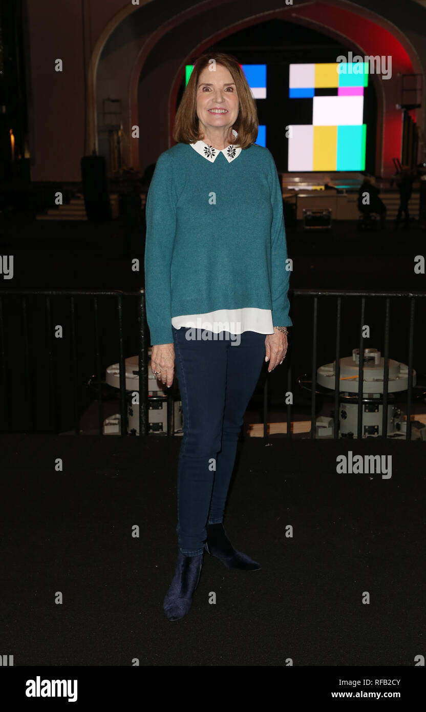 Los Angeles, Ca, USA. 24th Jan, 2019. Kathy Connell, attends Cocktails ...
