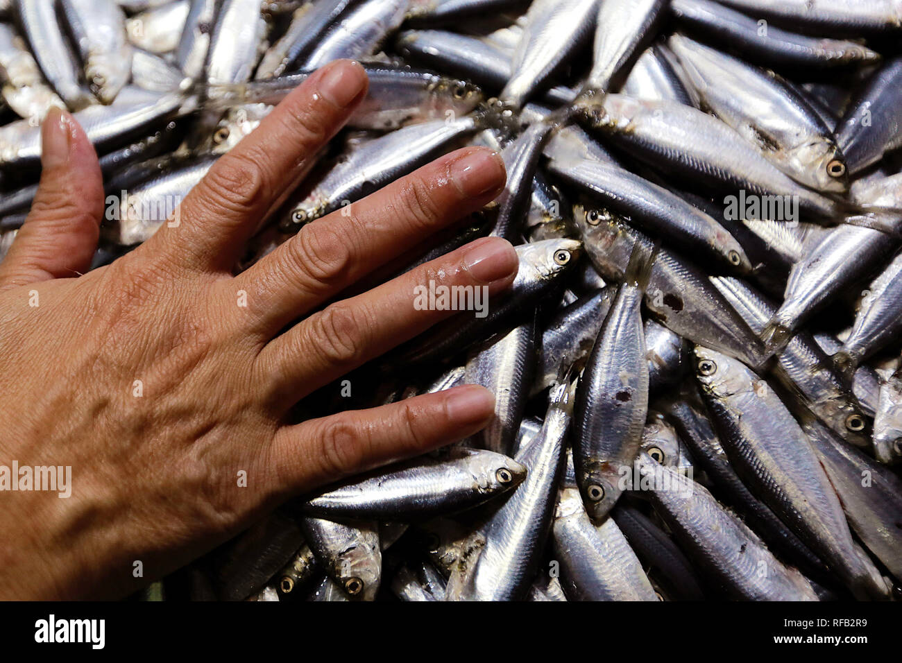 Philippine media hi-res stock photography and images - Alamy