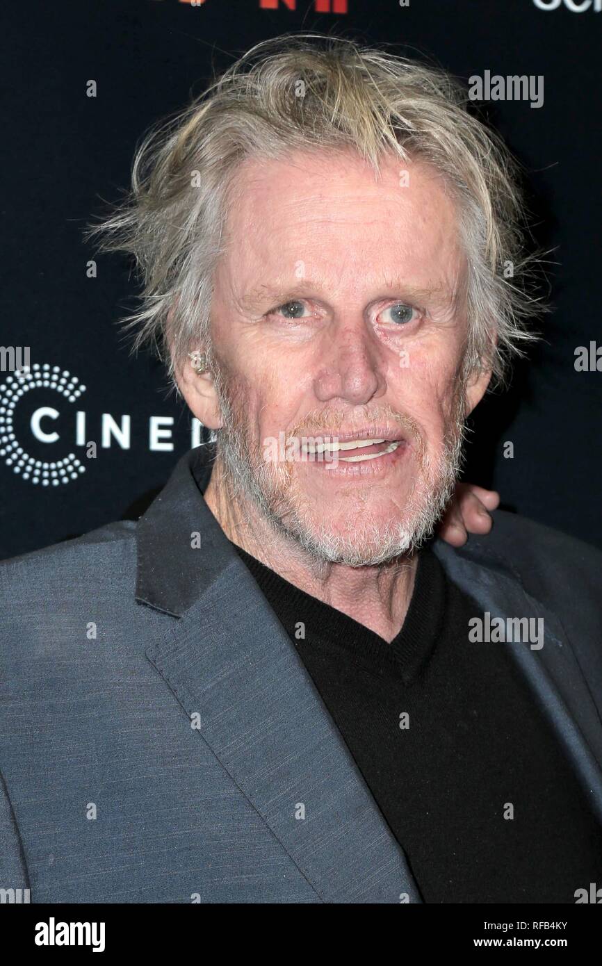 Gary busey 2019 hi-res stock photography and images - Alamy