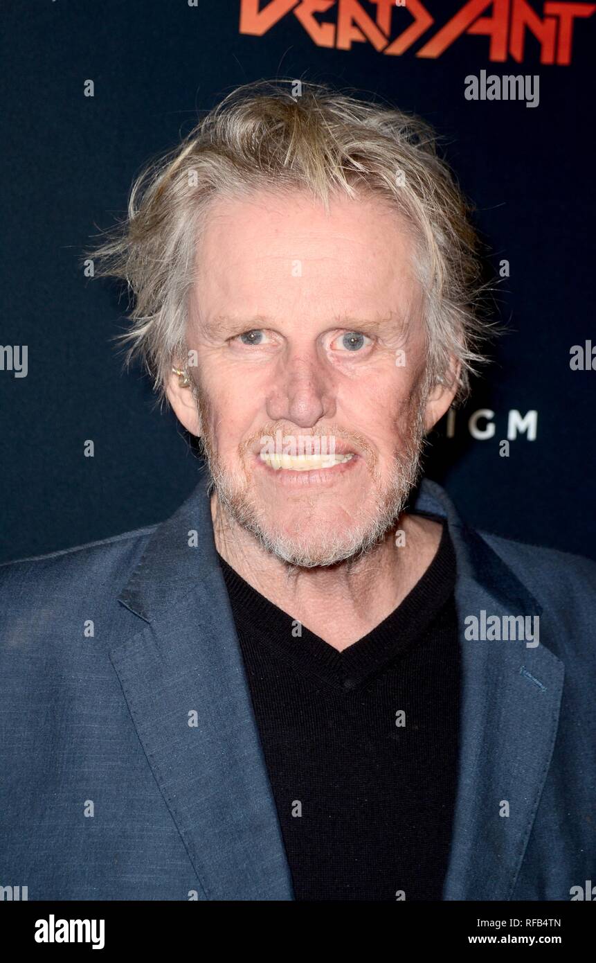 January 22, 2019 - Los Angeles, CA, USA - LOS ANGELES - JAN 22: Gary ...