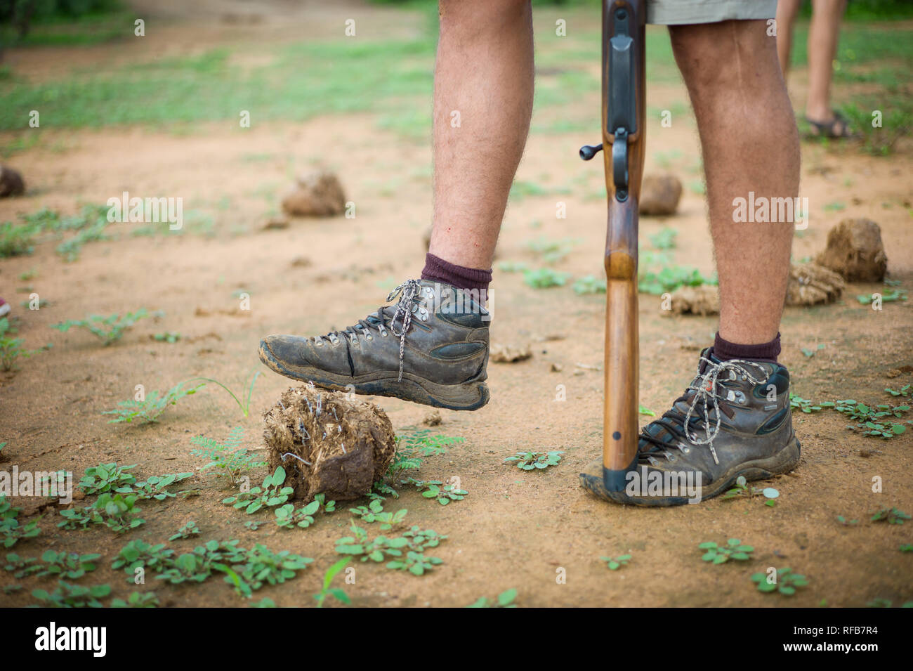 The Pafuri region in the far north of Kruger National Park is a stunning destination for a ...