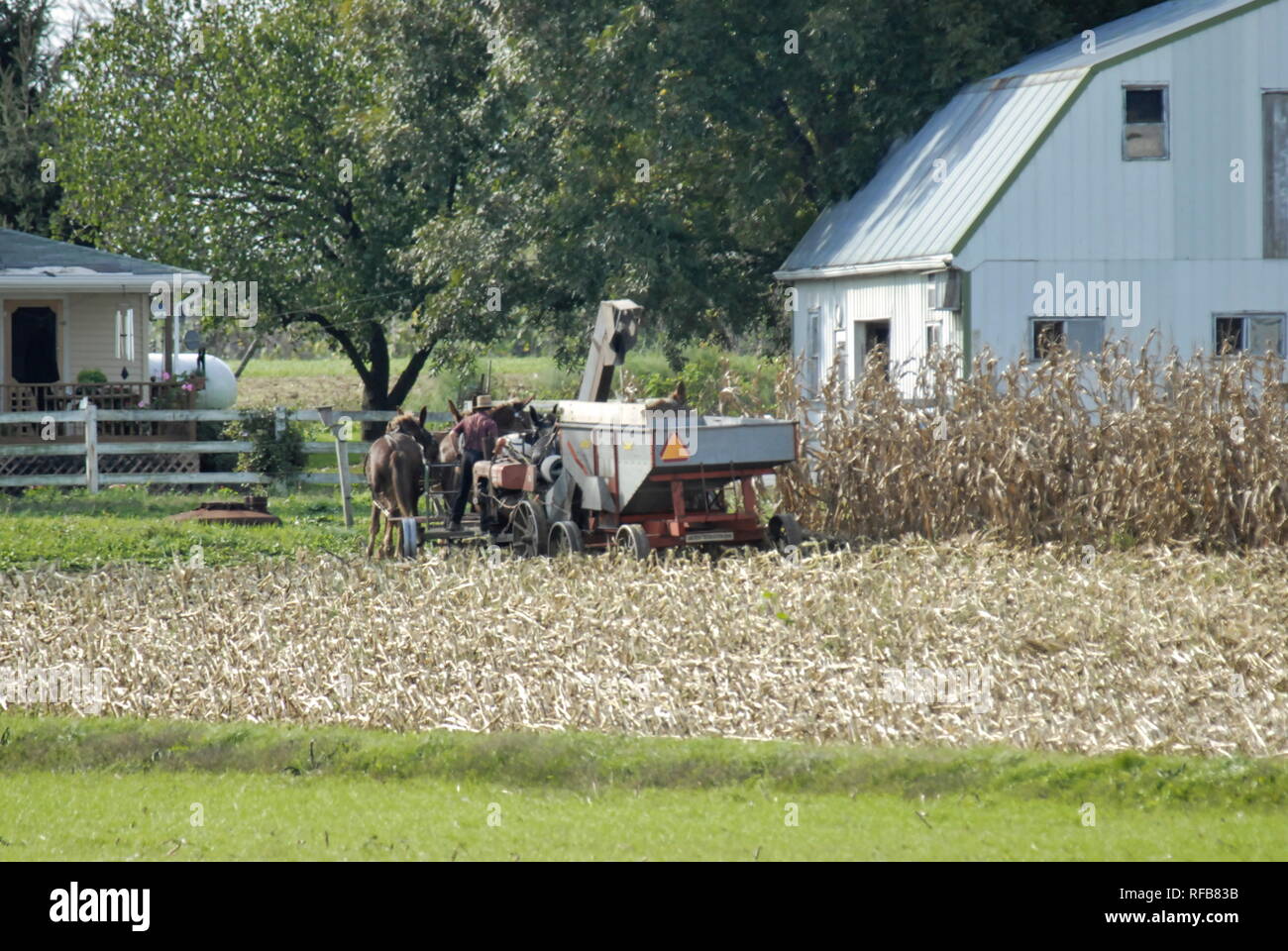 Amish farmer hi-res stock photography and images - Alamy