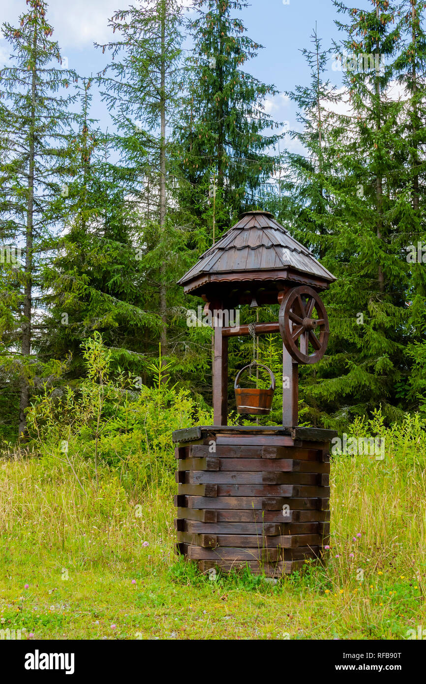A wooden well located on the margins of a fir forest, in a rural region ...
