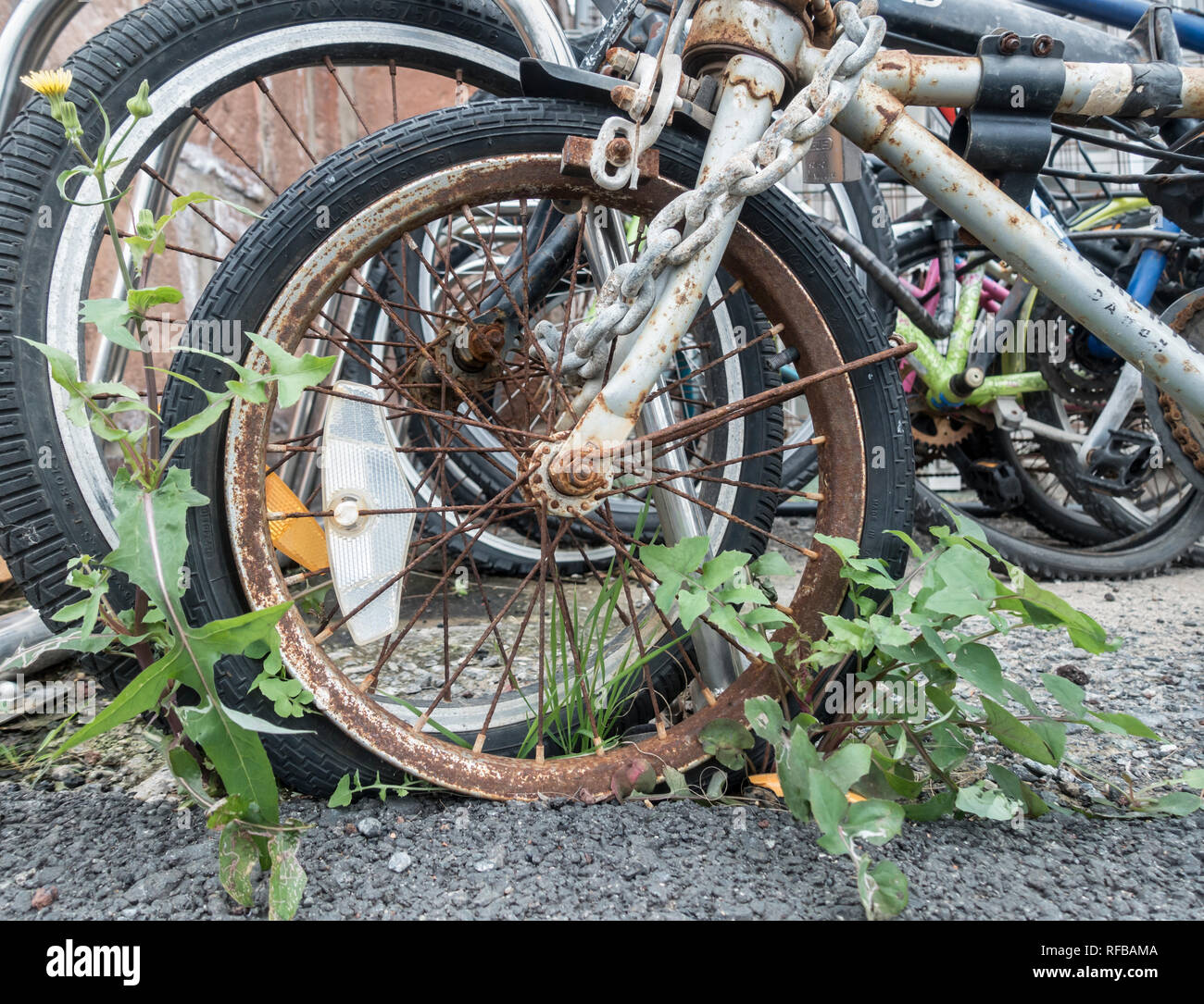 Weeds and bicycles hi-res stock photography and images - Alamy