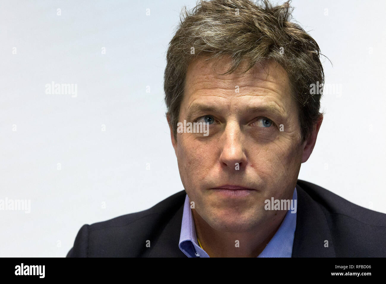 Hugh grant british actor hi-res stock photography and images - Alamy