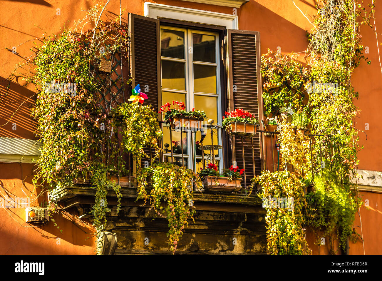 Red flowers on balcony hi-res stock photography and images - Alamy