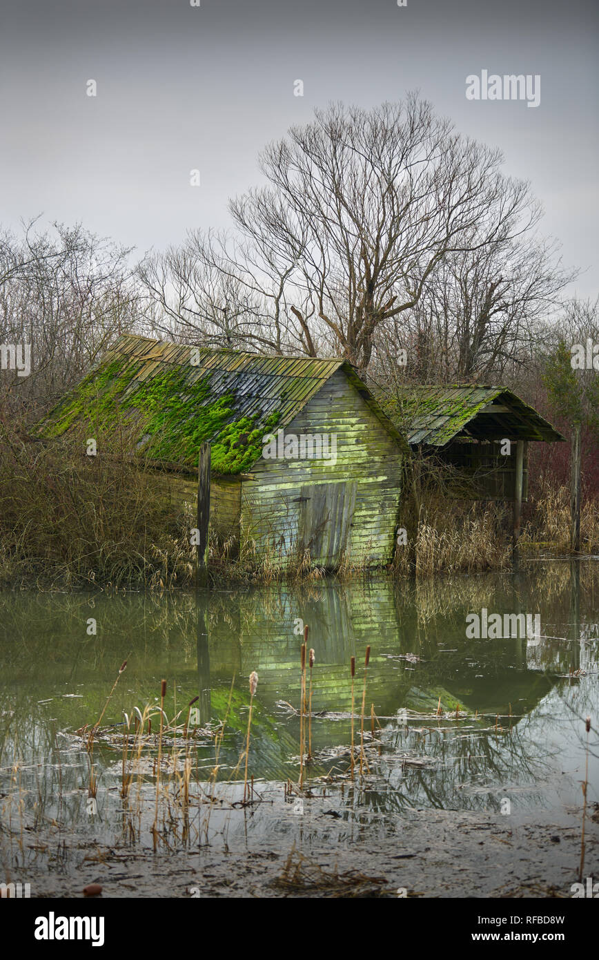 Finn Slough Sheds. Old sheds in Finn Slough on the banks of the Fraser ...