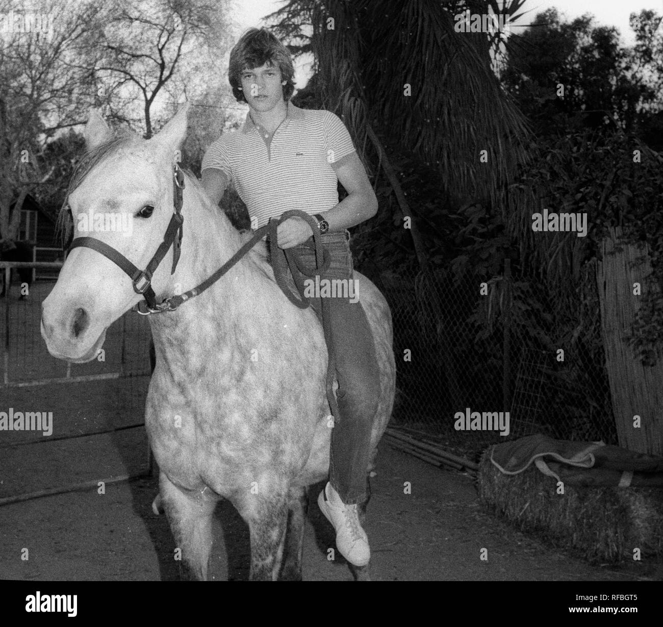 Jimmy McNichol 1981 Photo By Adam Scull/PHOTOlink.net Stock Photo - Alamy