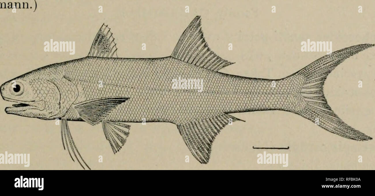 Vol de pol hi-res stock photography and images - Alamy