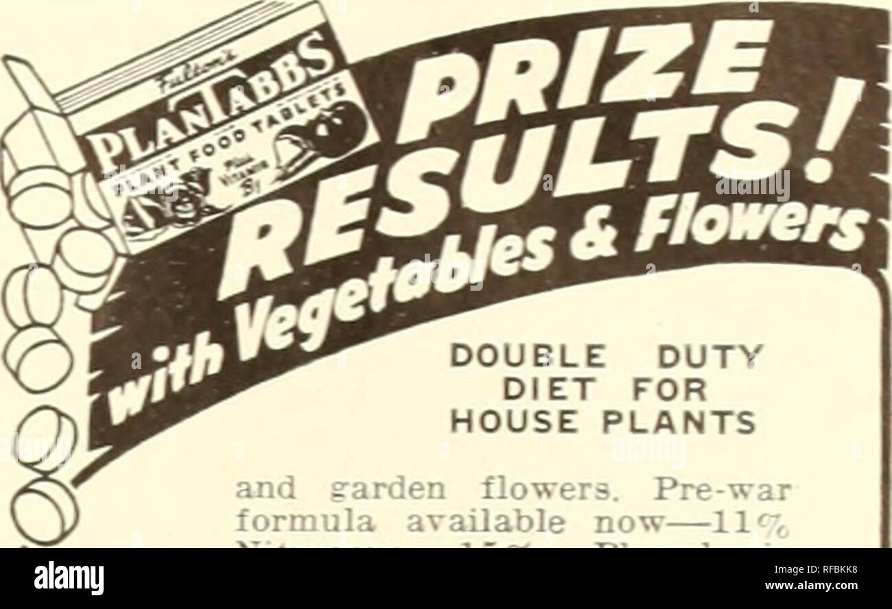 . Catalog 1946 : magnolia seeds are good seeds.. Seeds Catalogs ...