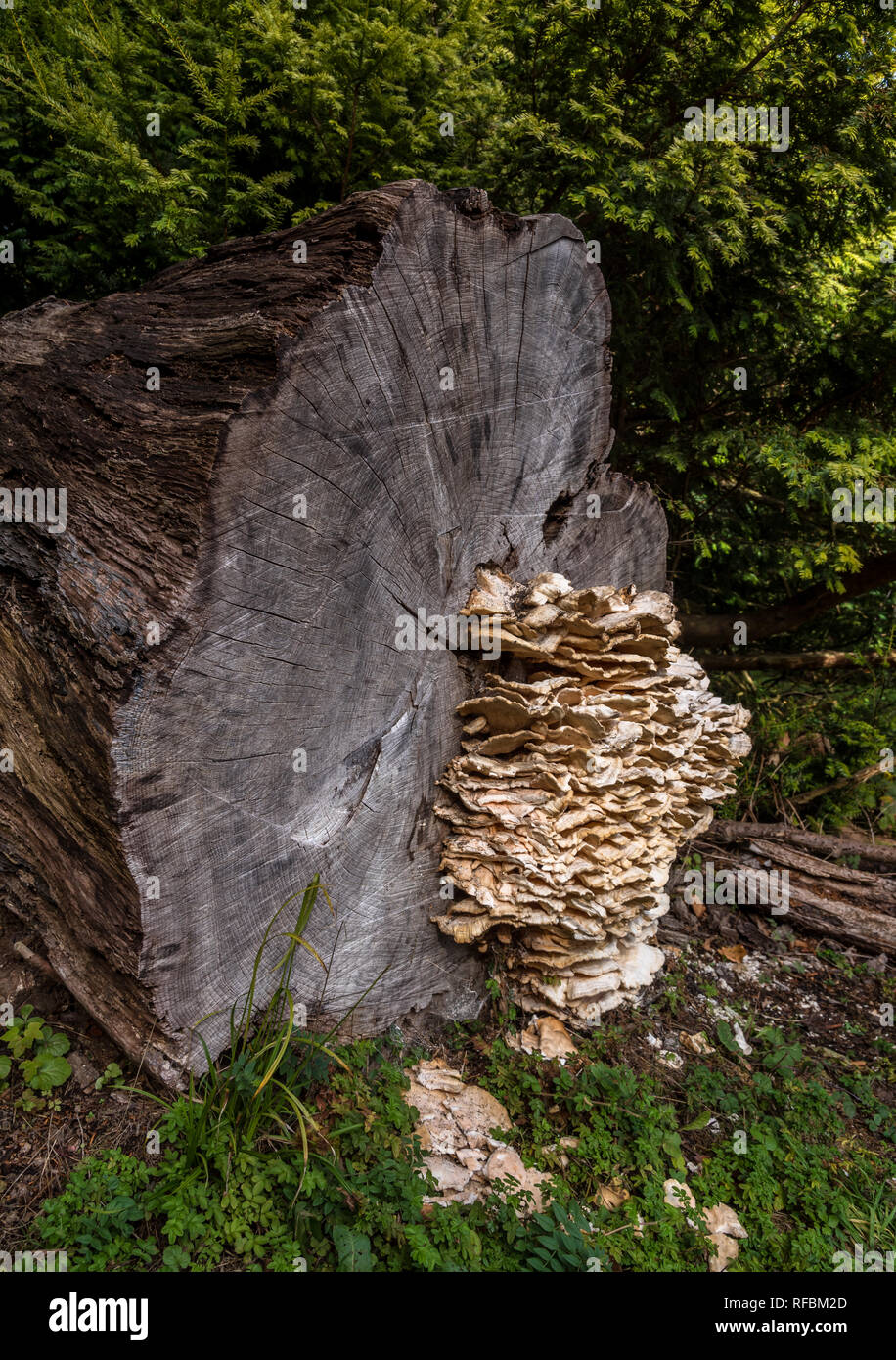 Bracket structures hi-res stock photography and images - Alamy