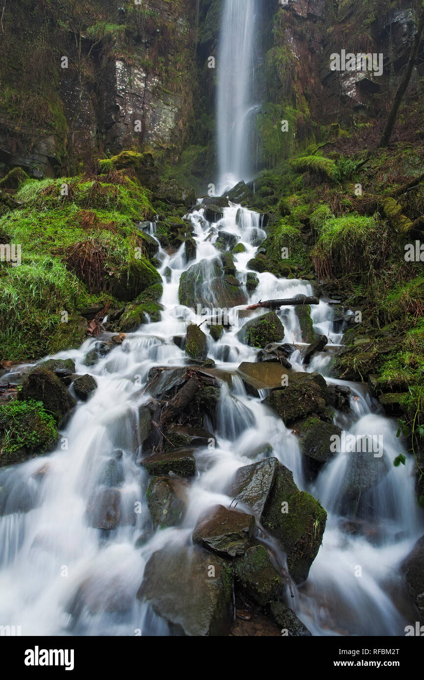 Melincourt hi-res stock photography and images - Alamy