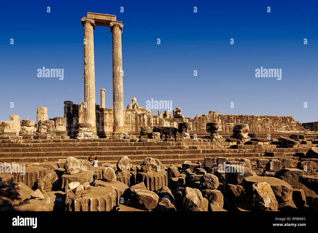 Ionian columns Apollo temple. Didyma, Aydin Province, Turkey Stock ...