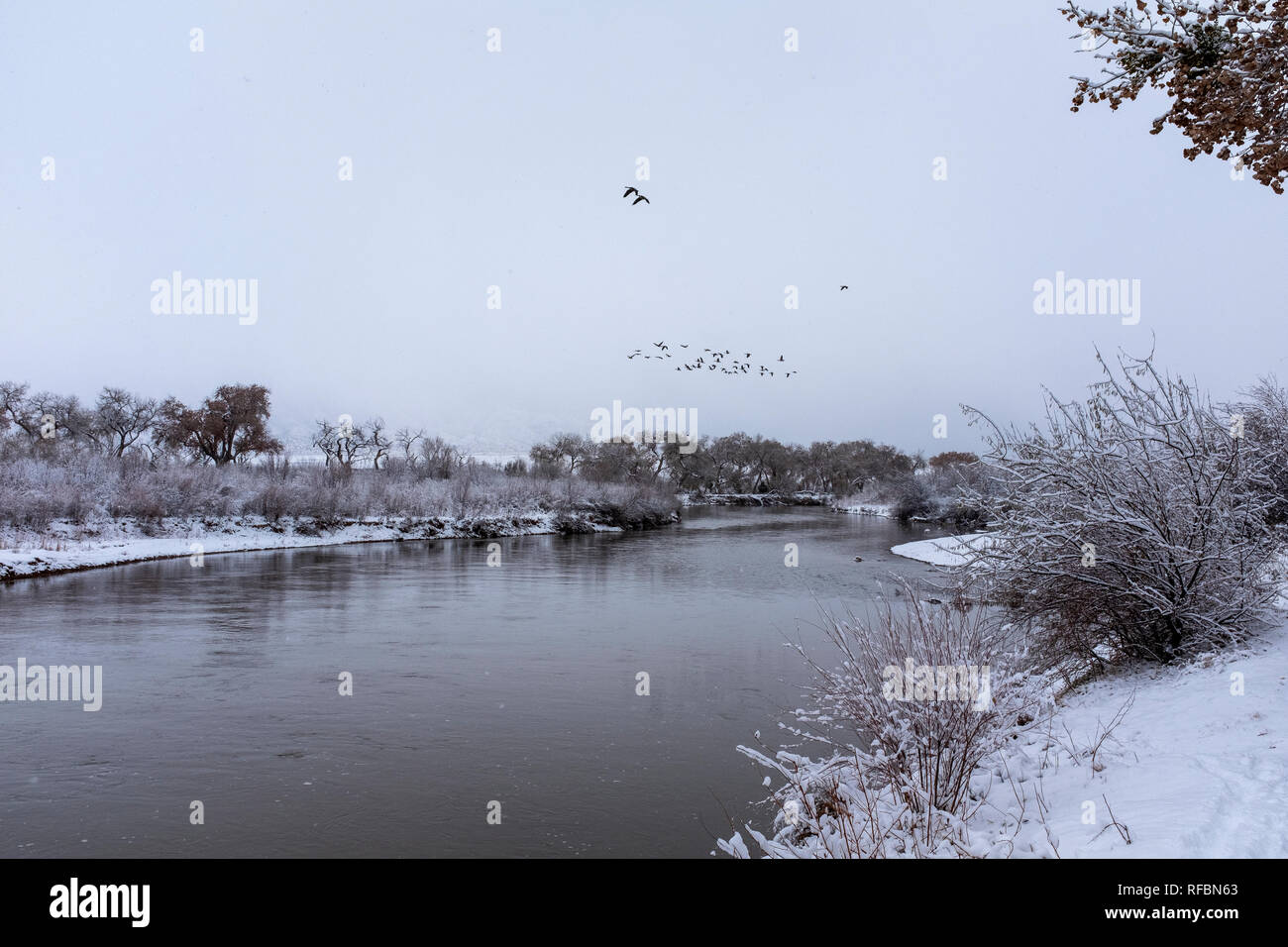 Corrales bosque hi-res stock photography and images - Alamy