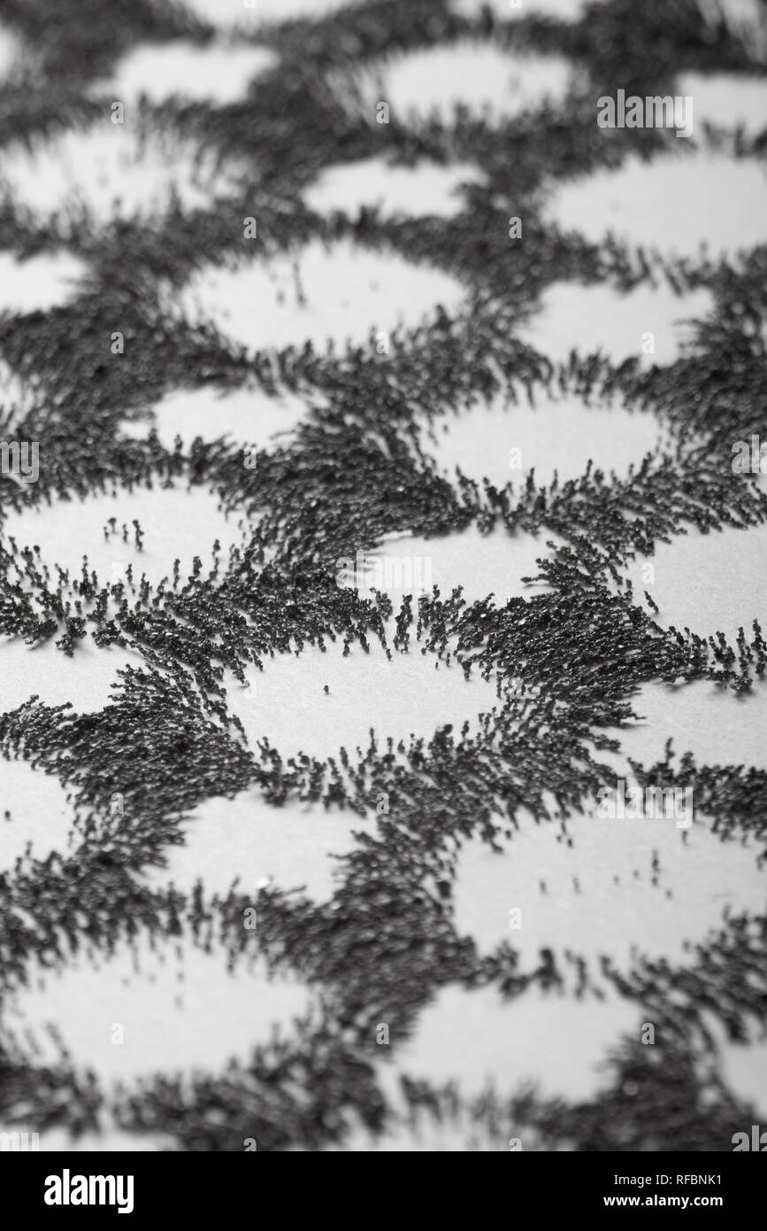 Magnetic fields seen by magnetic flux lines generated by strong ...