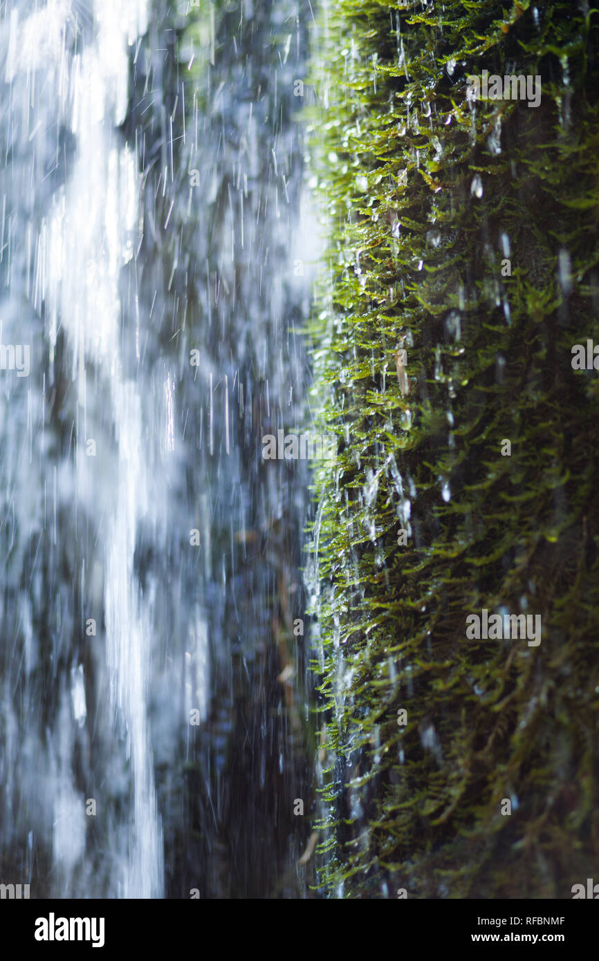 Waterfall with water falling past mossy rock surface Stock Photo - Alamy