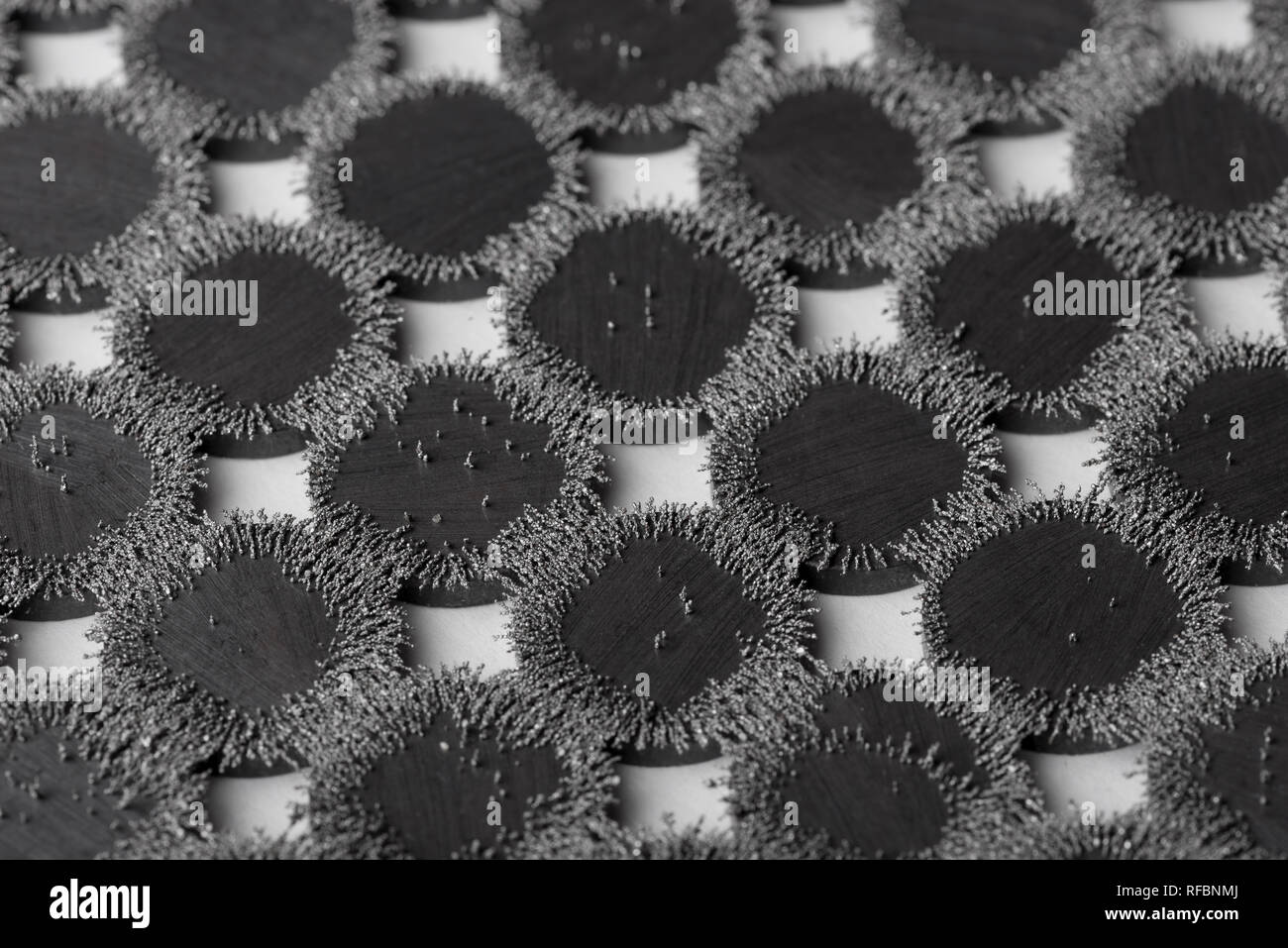 Magnetic fields seen by magnetic flux lines generated by strong ...