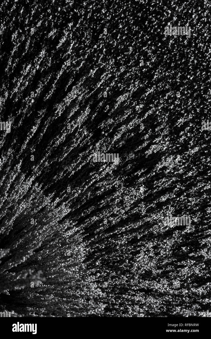 Magnetic fields seen by magnetic flux lines generated by strong ...