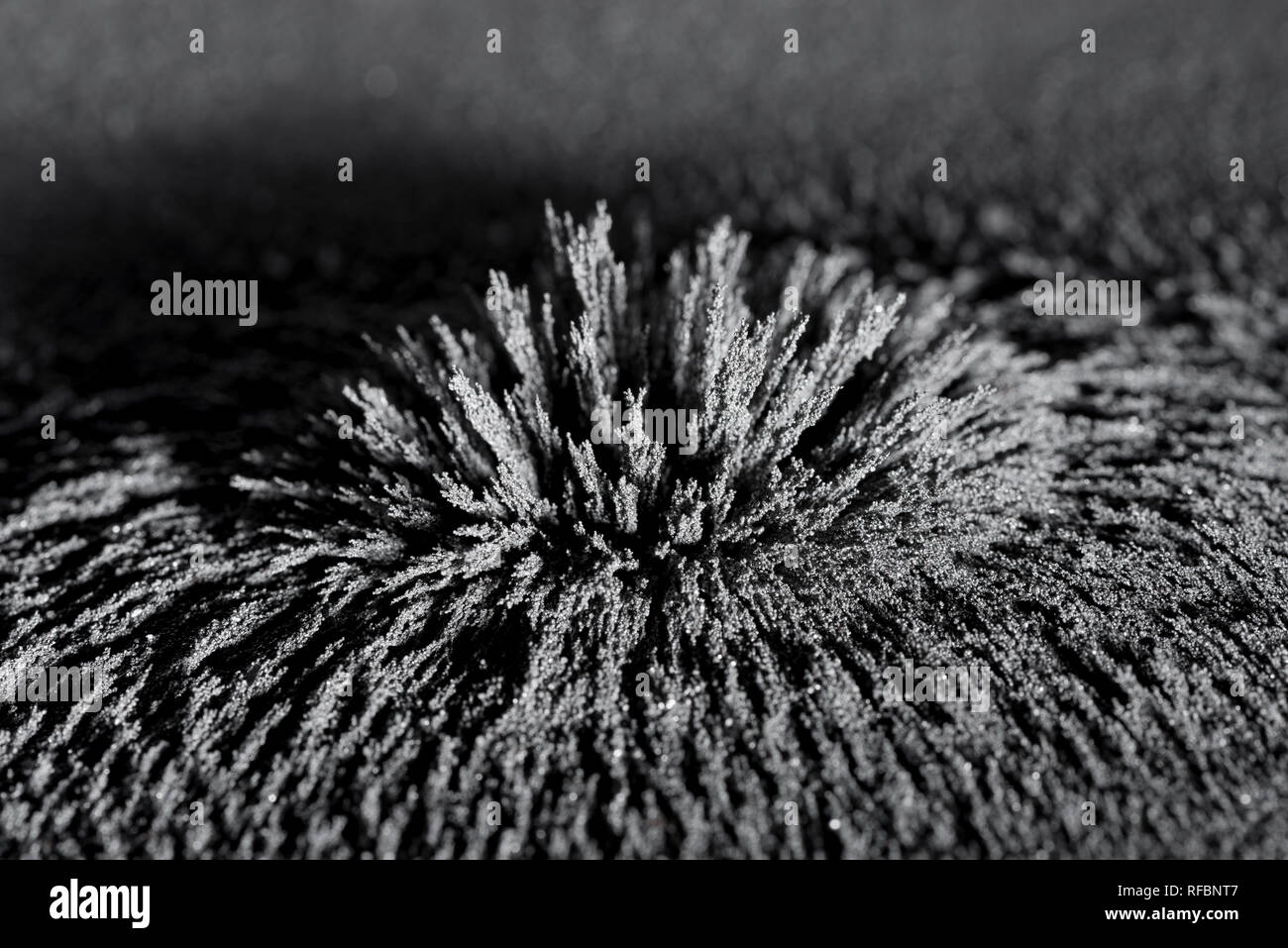 Magnetic fields seen by magnetic flux lines generated by strong ...