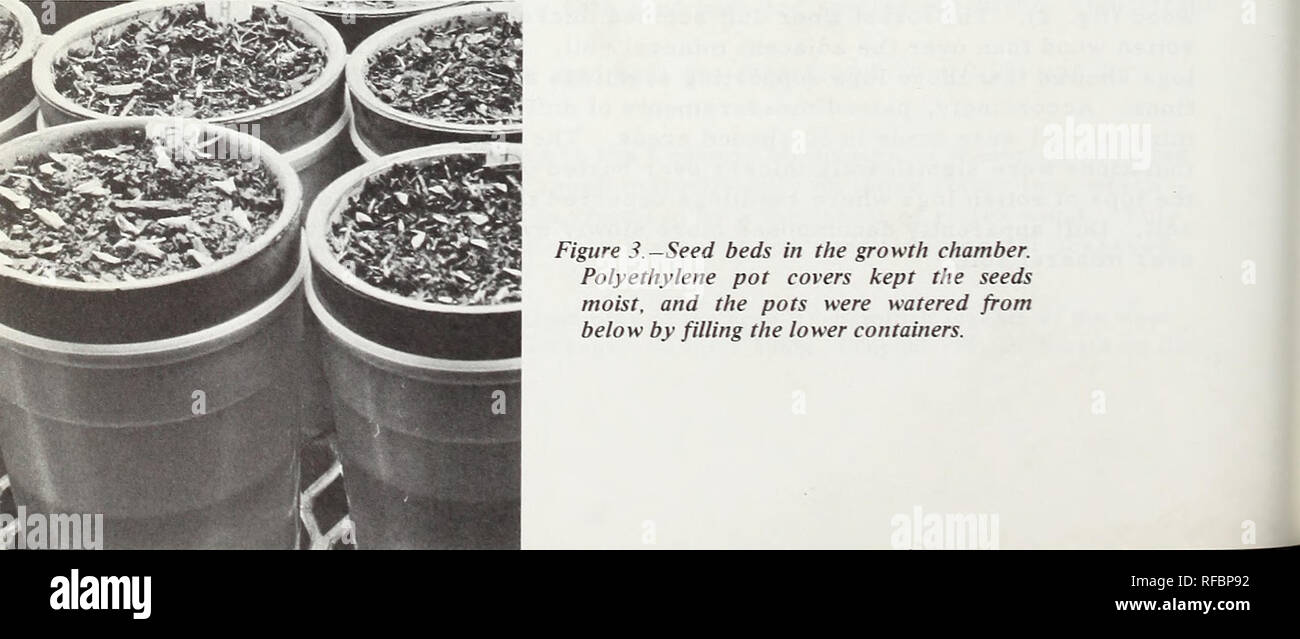 . Germination and early growth of coastal tree species on organic seed ...