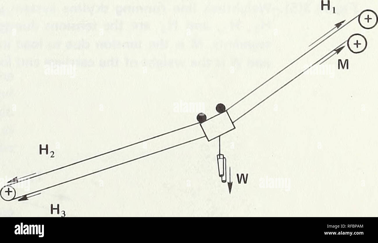 . Mechanics of running skylines. Logging, Skyline. Figure 3(3).--System ...