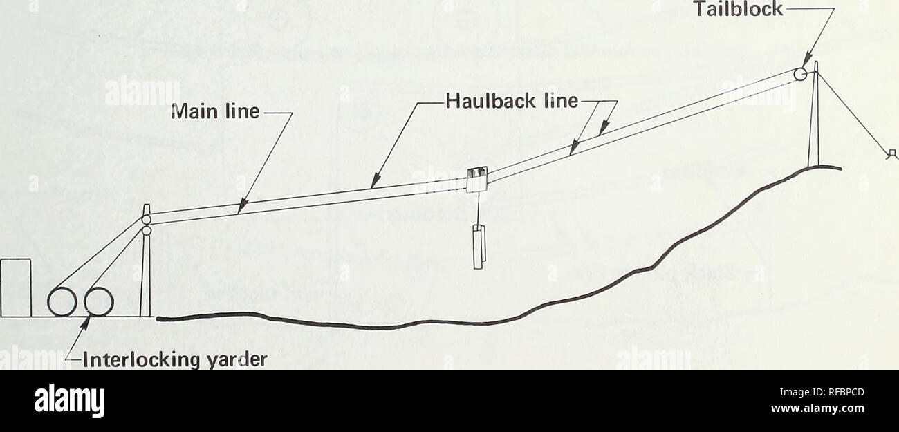 . Mechanics of running skylines. Logging, Skyline. 1.0 INTRODUCTION In ...