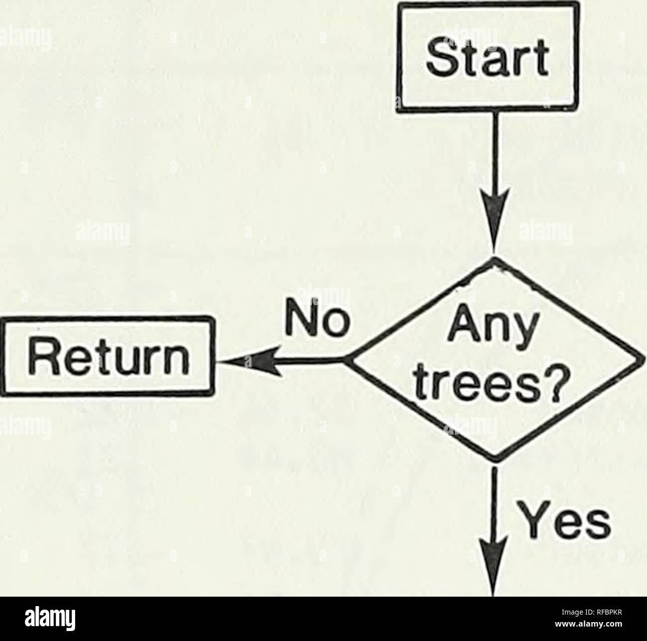 Forest Stand Development