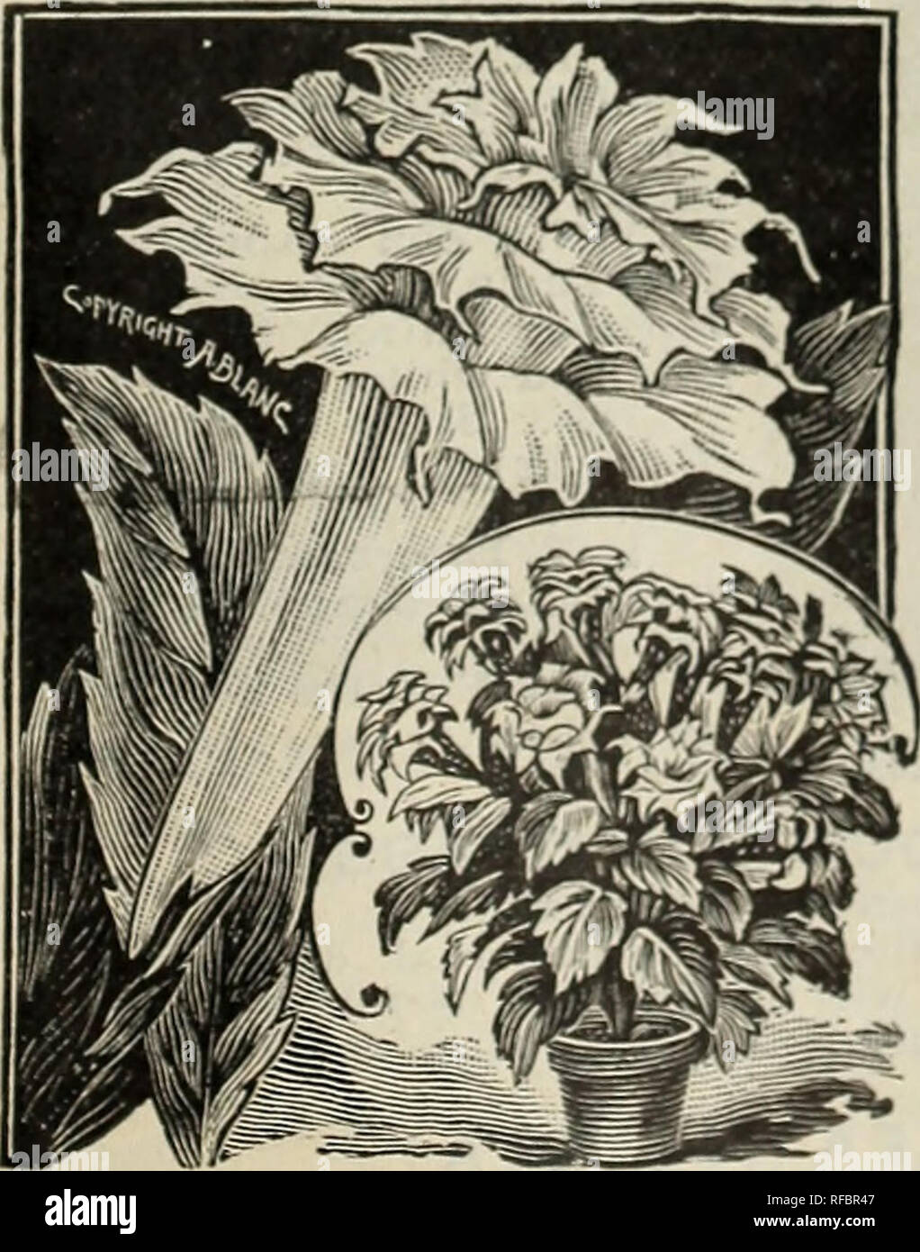 . 1901 Johnson & Stokes garden and farm manual. Nurseries (Horticulture ...